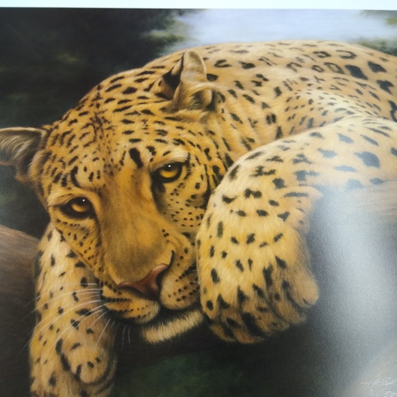Harold Rigsby | Wall Decor | Leopard By Harold Rigsby 2150 Signed ...